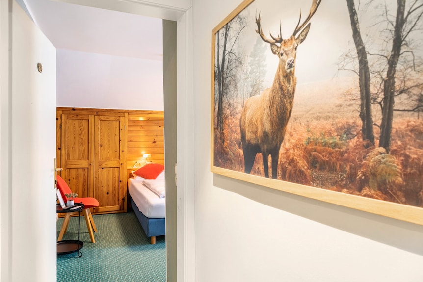 Room 9 (Budget Double Room) With Mountain View, Balcony And Wi-fi - Seefeld