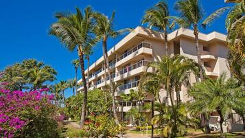 Apartamento em Condomínio Fechado, 3 quartos | Exterior