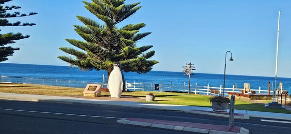 Penguin Retreat - Penguin