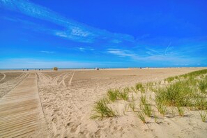 Uma praia de areia com uma passarela de madeira e vegetação verde.