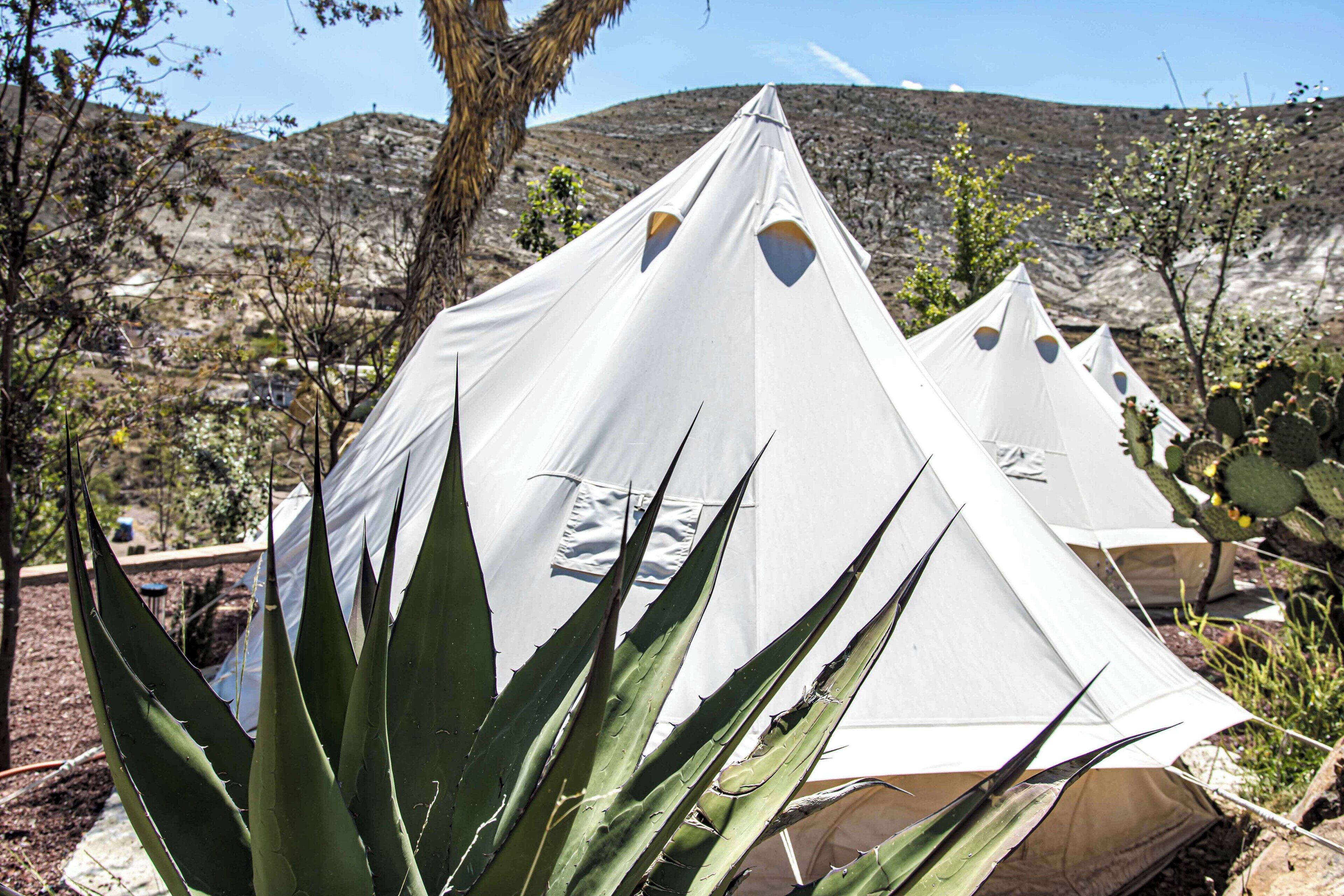 Uma série de tendas brancas com telhados triangulares, rodeadas por plantas de agave e cactos, com montanhas ao fundo.