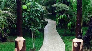 Um caminho ladeado por árvores em um jardim.