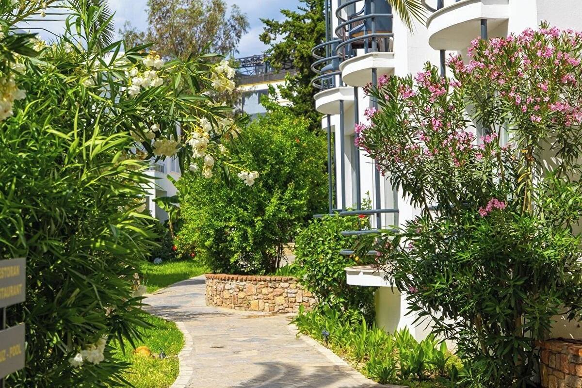Um caminho leva a um edifício com parede de pedra, cercado por vegetação exuberante e plantas floridas.