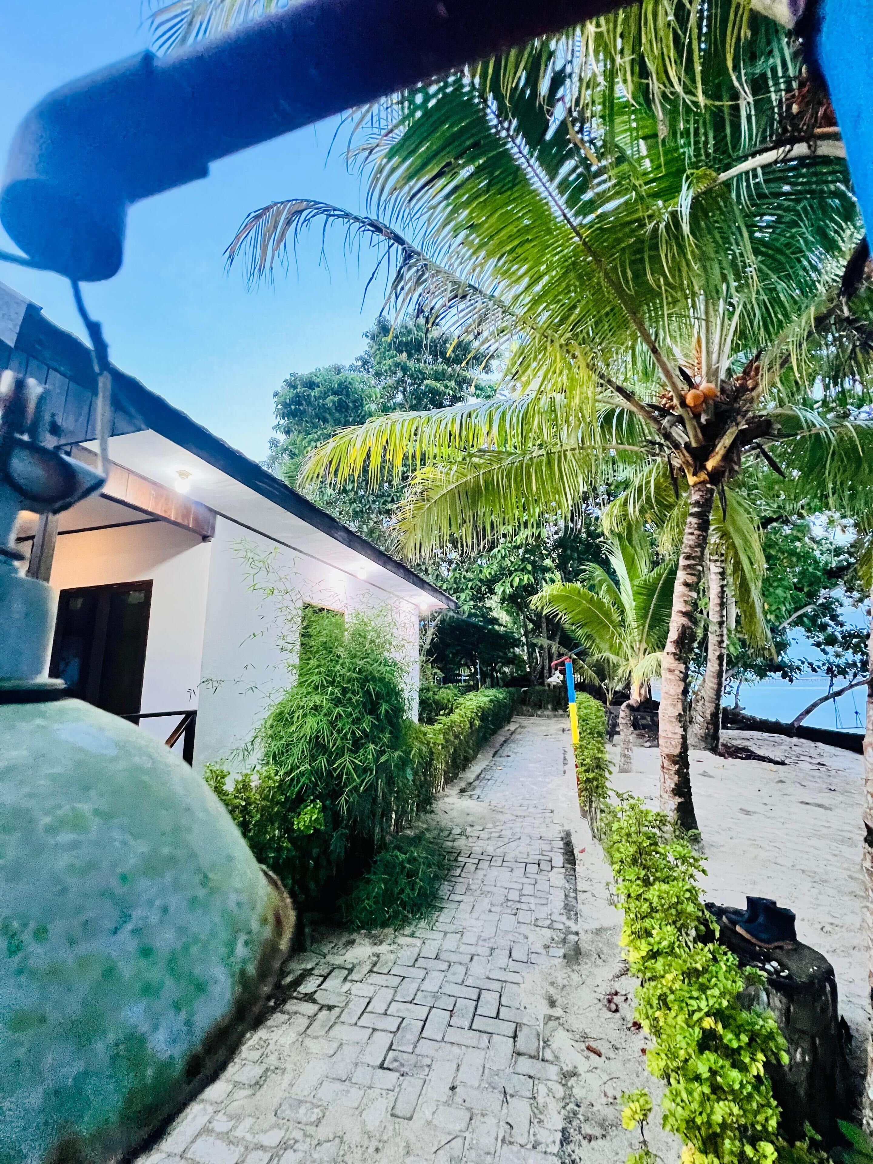 Quarto básico, vista para a praia | Terraço/pátio