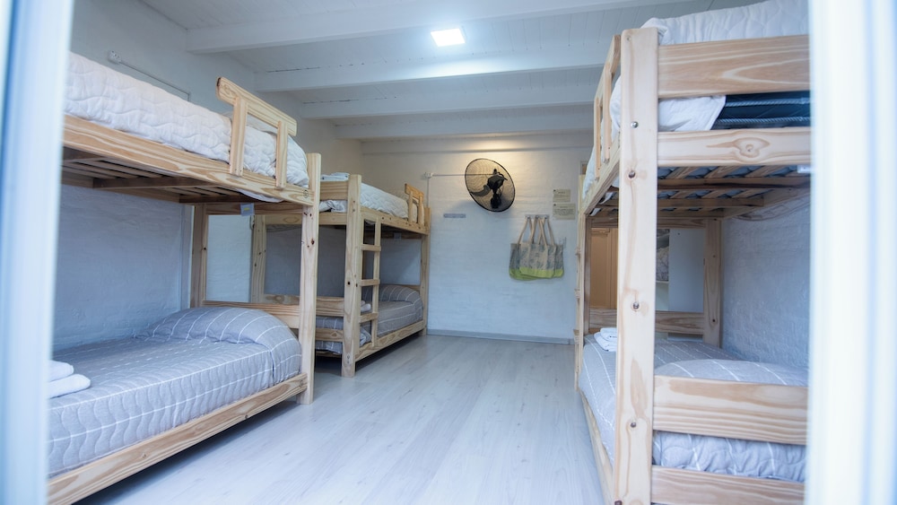 Casa Amonite Hostel Boutique - Puerto Madryn