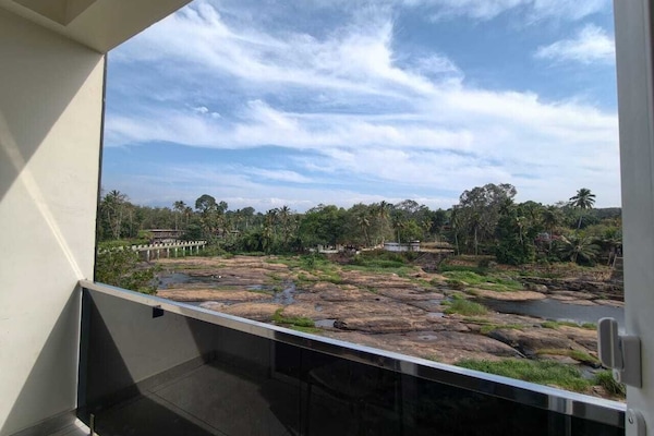 Jardim