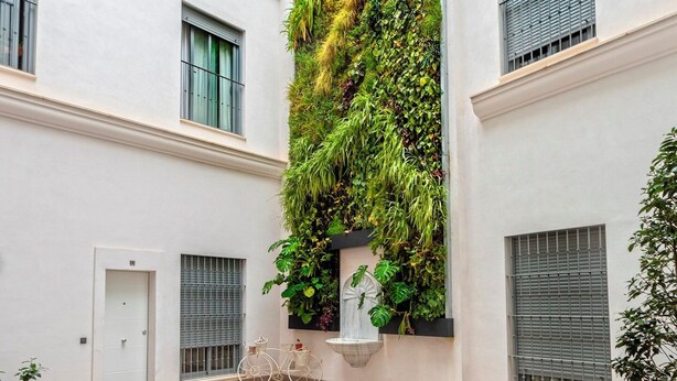 Um pátio com jardim vertical, uma porta branca e uma bicicleta.