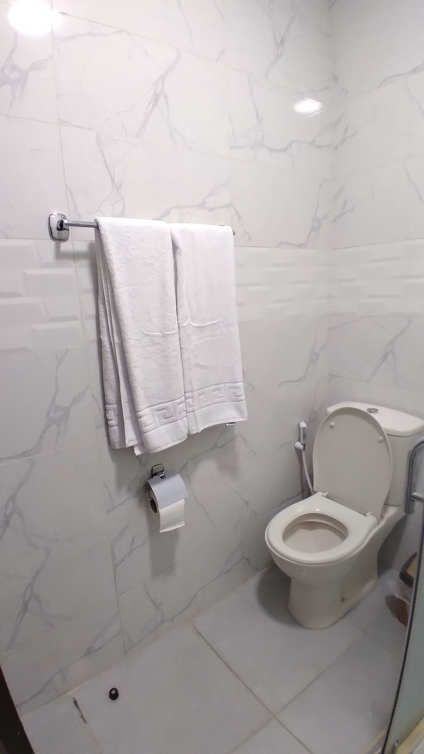 Casa de banho com sanita, um porta-toalhas com duas toalhas e rolo de papel higiénico.