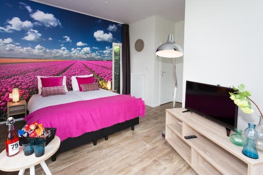 Double Room With Terrace - Haarlem