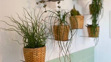 Estante na parede com vários vasos de plantas.