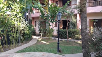 Jardim