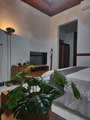 Secretária, Wi-fi grátis 