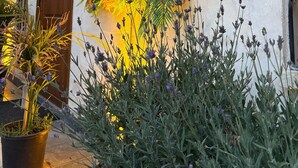 Paredes decoradas com plantas e uma placa com a inscrição 'The Rio Bay Boutique Hotel'.