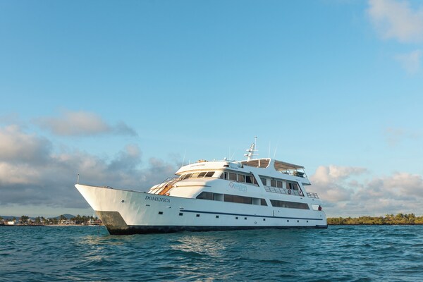Galapagos Sea Star - Galápagos Islands