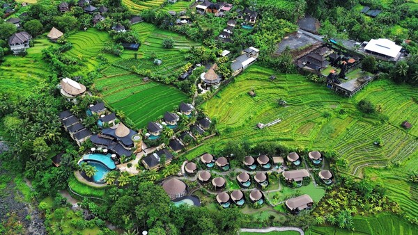 The Wapa Lux Tent - Sidemen