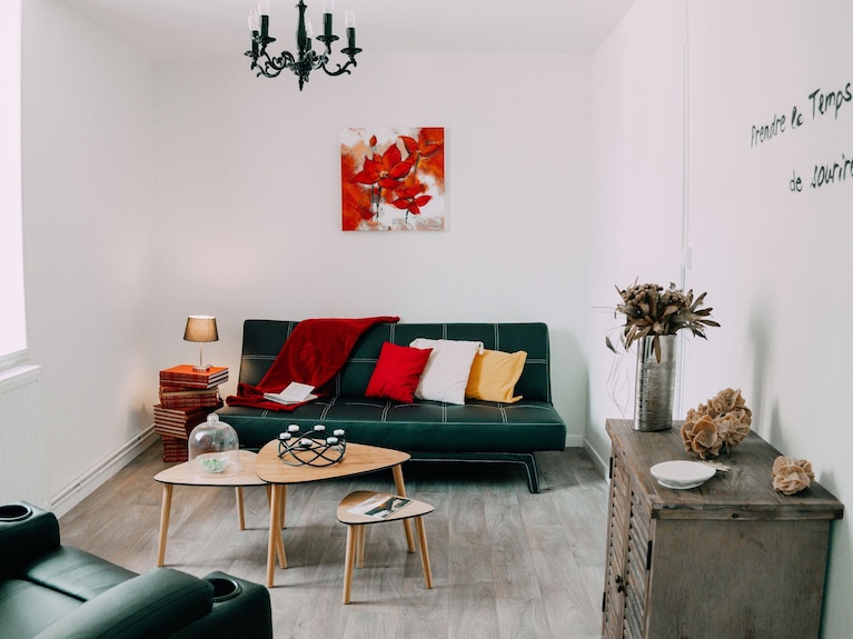 Gîte Zen Et Confort Au Cœur Du Sud Vendée, Proche Parc Natural Du Marais Poitevin - Fontenay-le-Comte