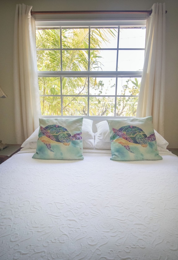 Waterfront Tranquility: 3 Iguanas Villa- 1st Floor Hibiscus Suite W Rooftop Pool - Placencia