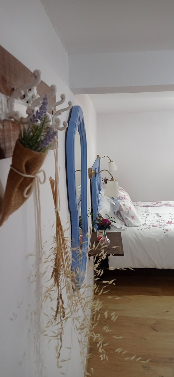 Casa De Aldea. Naturaleza, Ribera Del Duero Y Románico. Amigos De Tu Mascota. - San Esteban de Gormaz