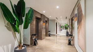 Corredor moderno de hotel com planta em vaso, lixeira e placa na parede.