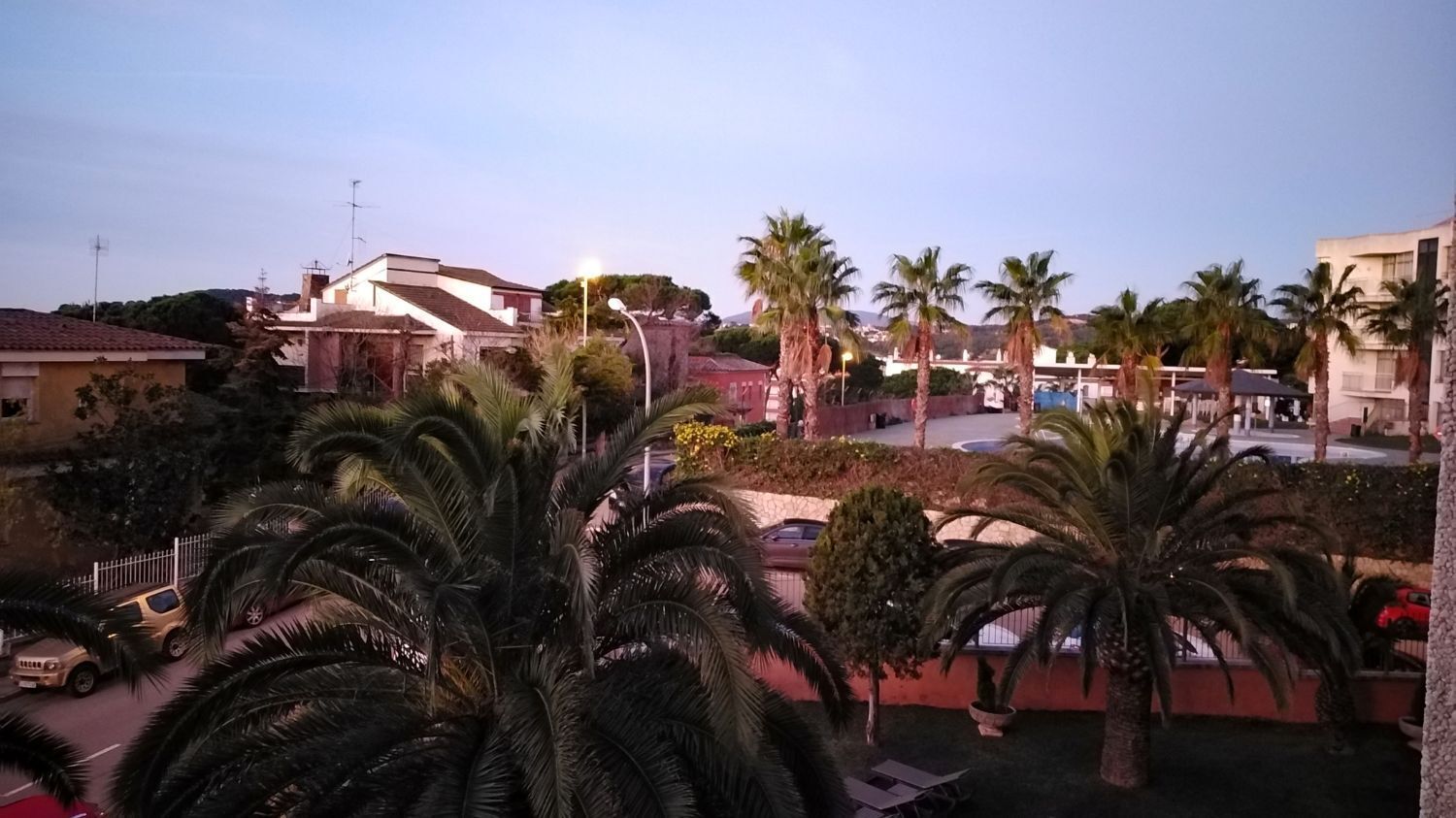 Zona residencial com palmeiras, uma rua e edifícios.