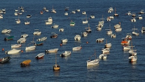 Marina repleta de diversos barcos.