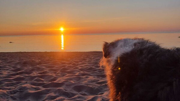 Ferienpark-eichenwald - Rügen