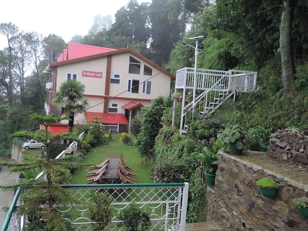 The Majestic Cedar - Kasauli