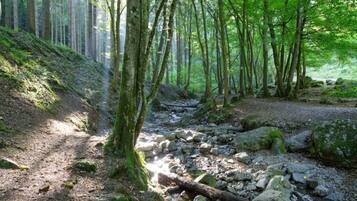 Apartamento | Vista da propriedade