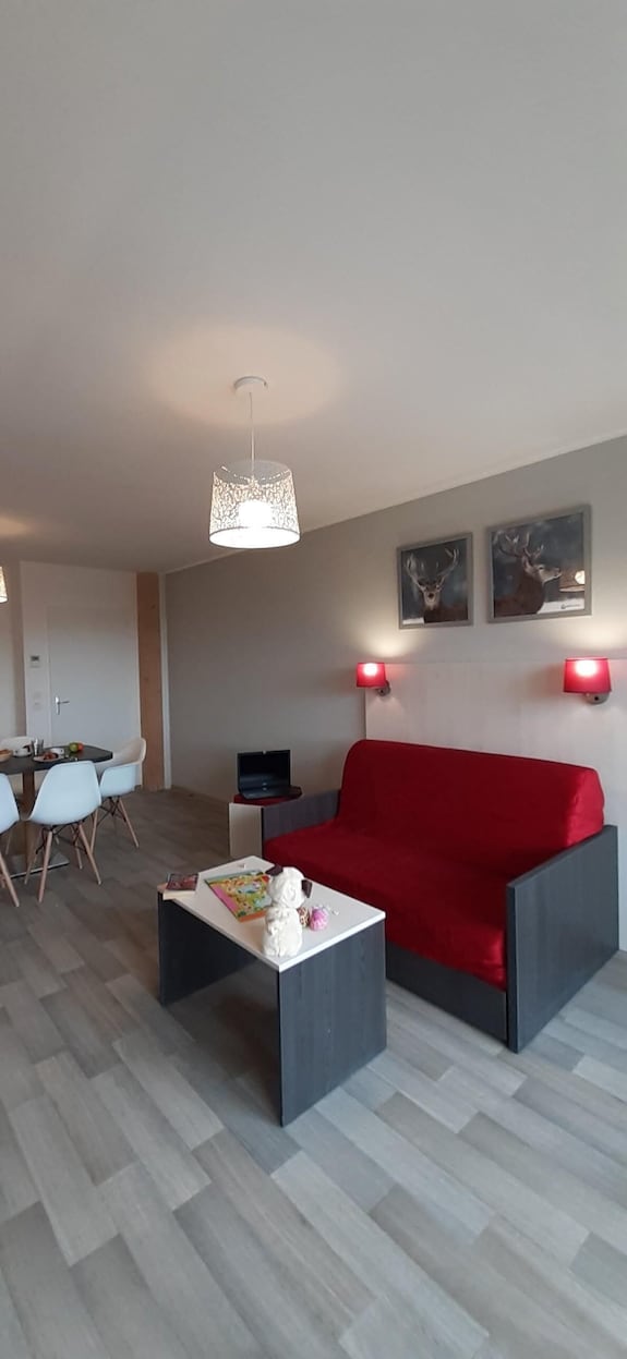 Ski-in/ski-out & Foot Of The Slopes, Swimming Pool, Terrace, Balcony, Tv, 35m², Combloux - Combloux