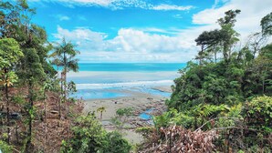 Uma praia com águas azul-claras, rodeada por vegetação tropical exuberante.