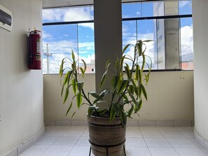 Detalhe da parte interna