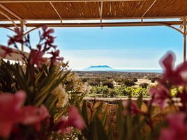 Terraço/pátio interior