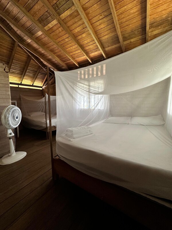 Hotel Don Aí - Choco