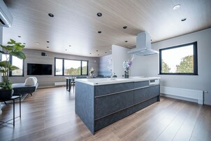 Um frigorífico, um micro-ondas, uma placa de cozinha 