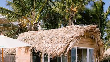 Apartamento | 3 quartos