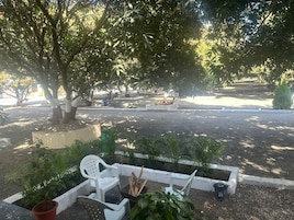 Jardim