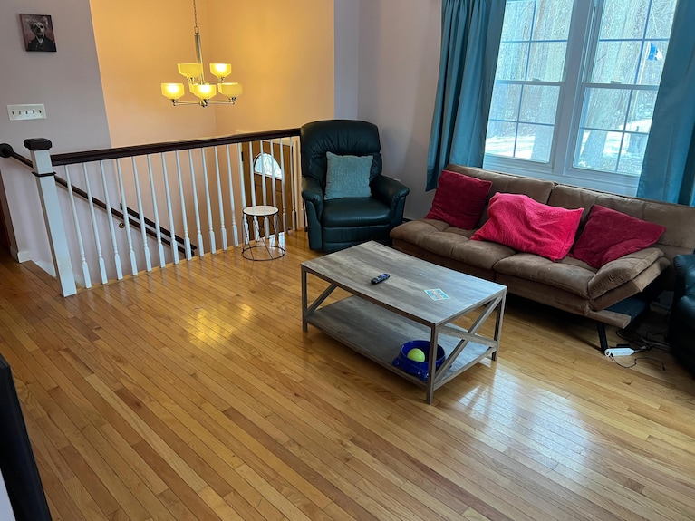 Dog Lovers Retreat With Acres To Roam, Farm Animals, And Plenty To Explore! - Mansfield Hollow Lake, CT