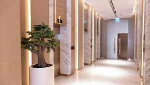 Um corredor moderno com paredes de mármore, uma árvore bonsai em vaso e um chão limpo e refletor.