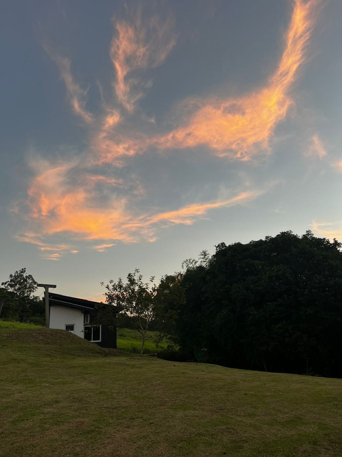 Uma casa moderna com telhado plano e pequena varanda, cercada por um gramado e árvores densas.