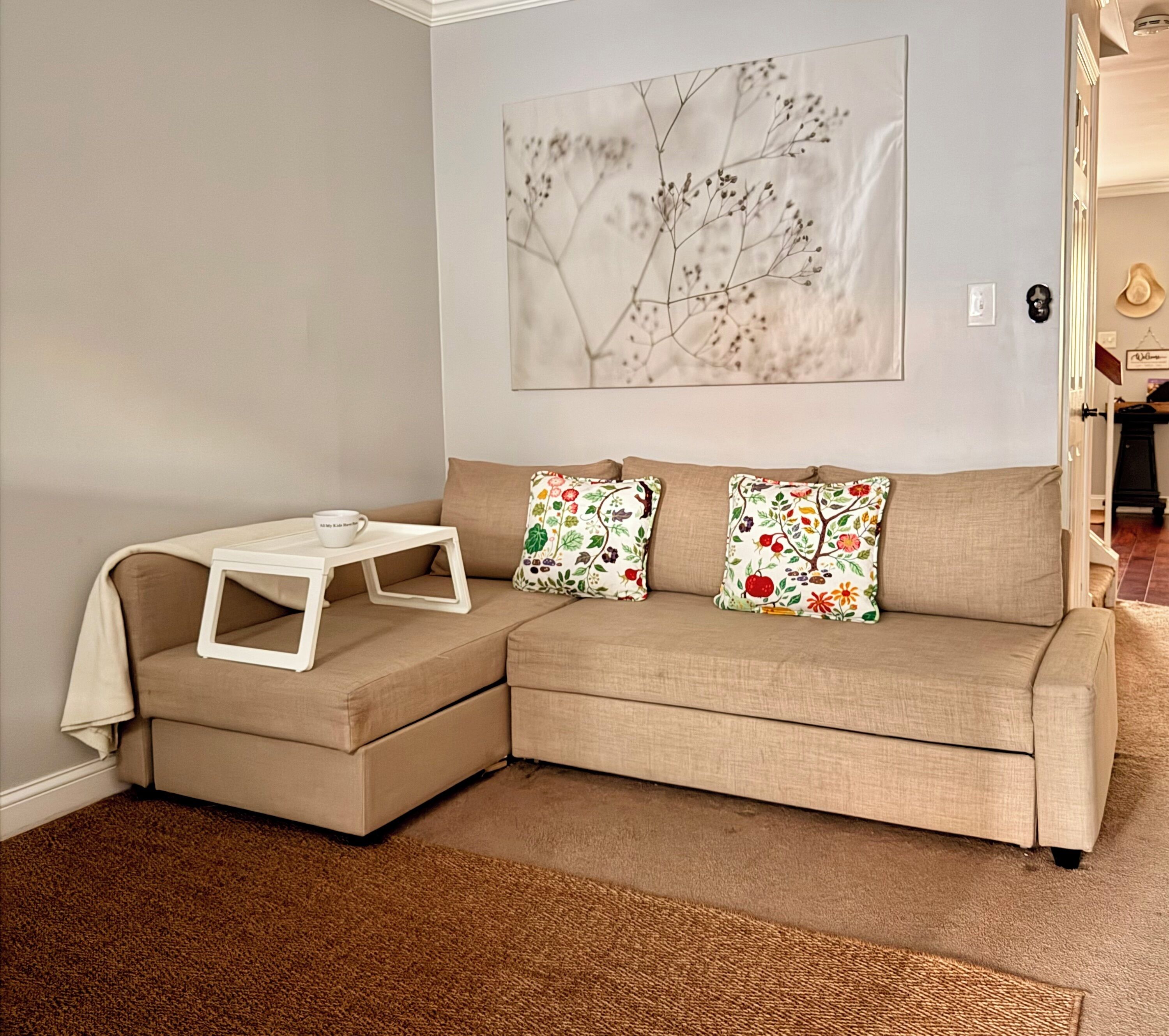 Bohemian Minimalist Haven - Newark, DE