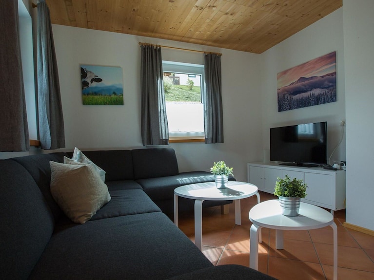Mooi Appartement In Vakantiehuis Met Wifi, Zwembad, Tv, Terras En Huisdieren Toegestaan - Abtenau