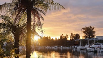Lago