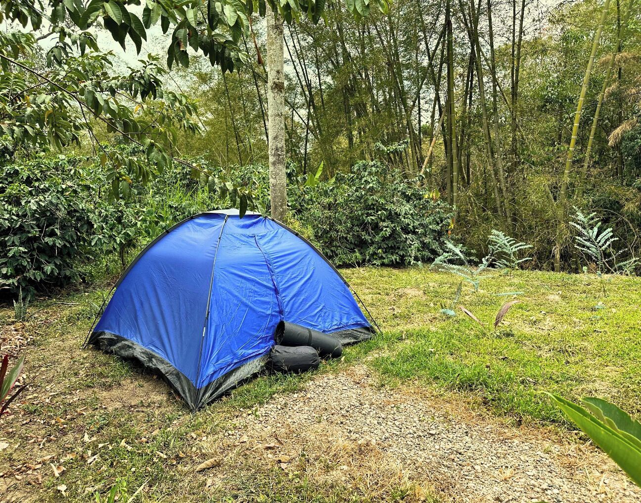 1 quarto, Wi-fi grátis 