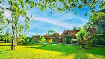 Vista para o jardim