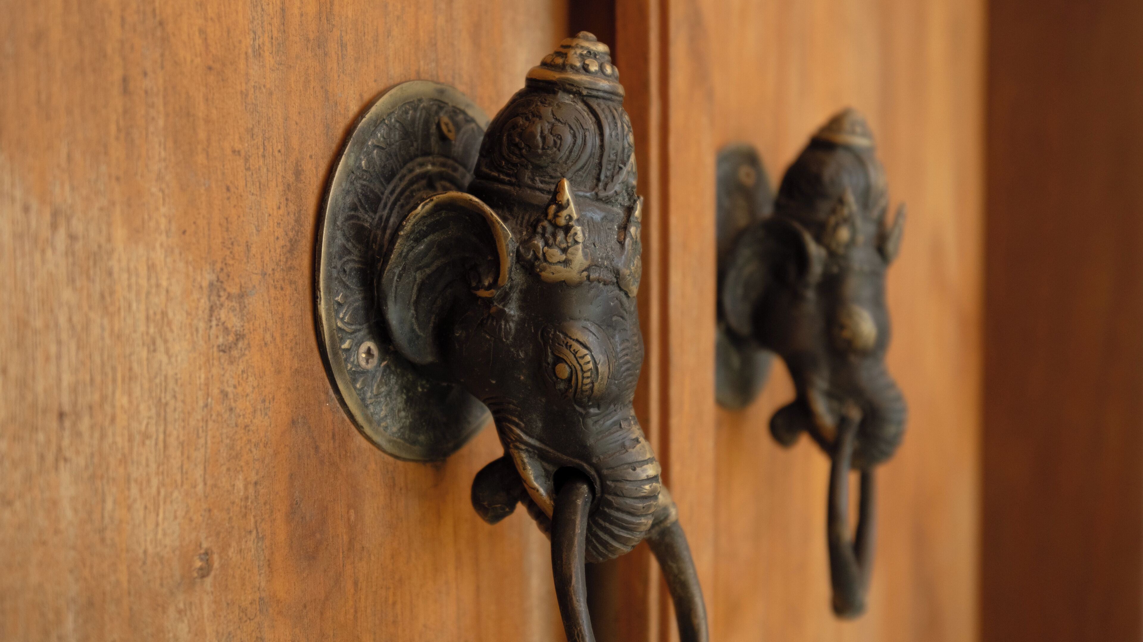 Um close-up de uma porta de madeira com maçanetas de metal ornamentadas.