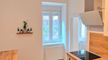 Apartamento, 1 quarto, fumadores, Vista para a cidade | Interior