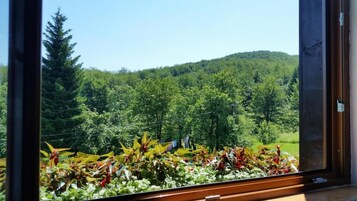 Quarto casal | Vista para o pátio