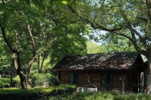 Uma cabana rodeada por árvores densas, com céu claro acima.