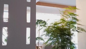 Quarto com uma janela grande, uma planta e um lustre.