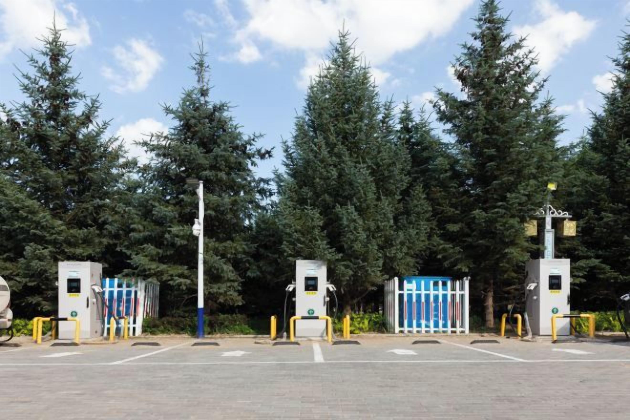 Uma área de estacionamento com estações de carregamento para veículos elétricos, cercada por altas árvores perenes.